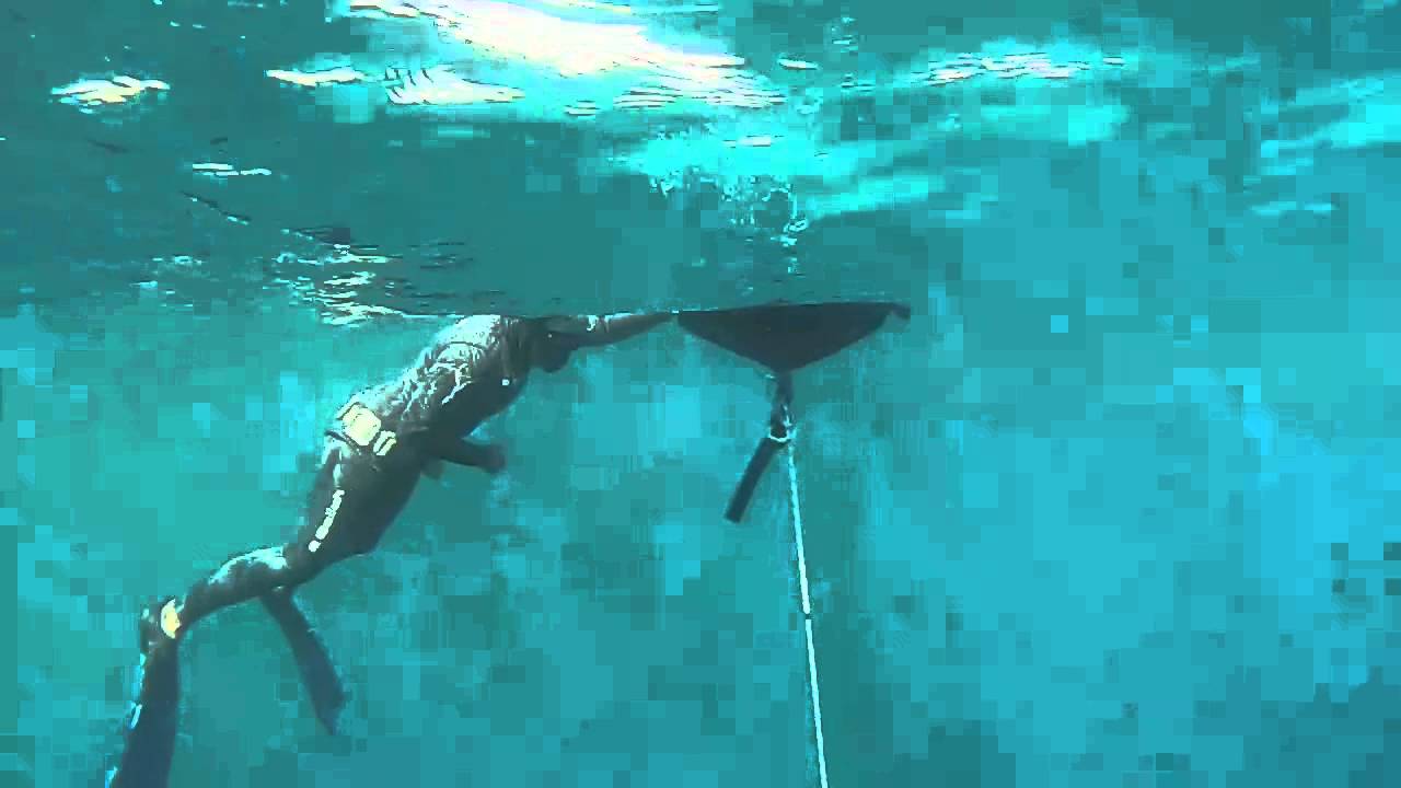 Freediving - Depth Practice CWT - YouTube