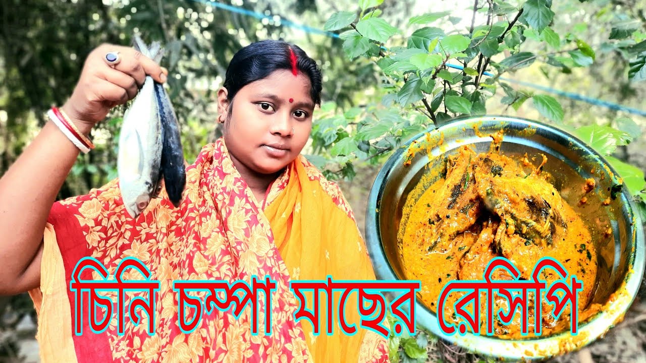 chini Champa Fish Curry Recipe | Village Style Fish Recipes | Cooking ...