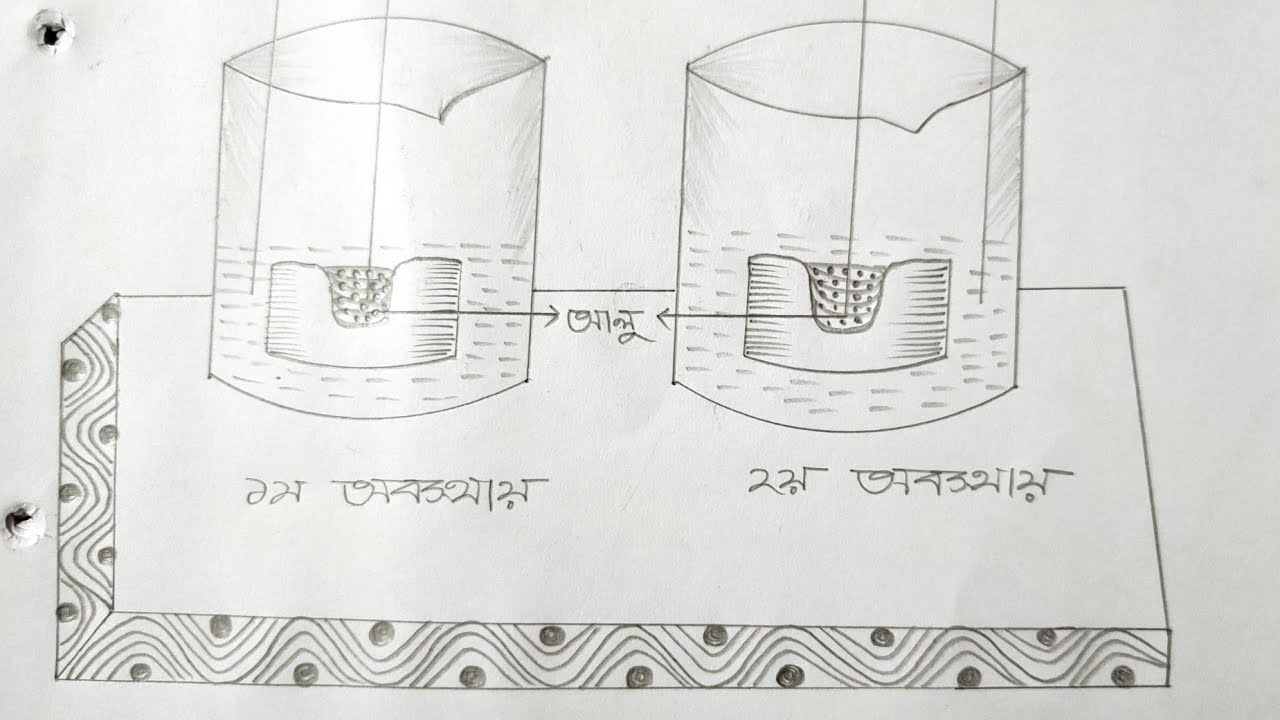 ssc practical biology / এসএসসি প্যাক্টিকেল বায়োলজি/ অভিস্রবণ পরীক্ষা ...