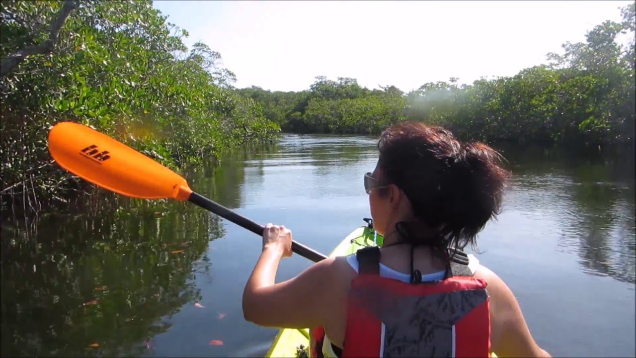 Kayaking Florida Keys - YouTube