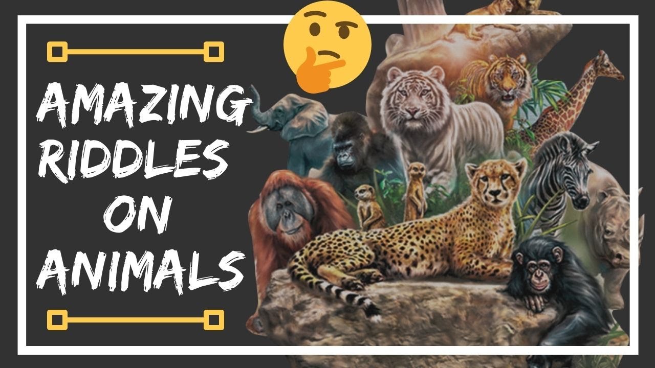 10 amazing riddles on animals🐯🐵.. - YouTube