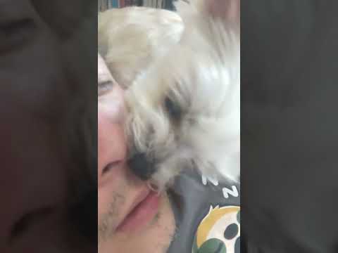 22 minutes of dog licking nose cause the dog loves my nose ASMR