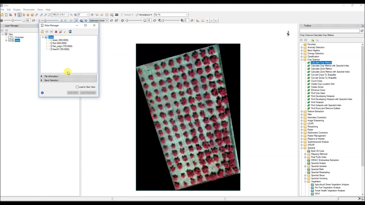 ENVI Crop Science module demonstration - YouTube