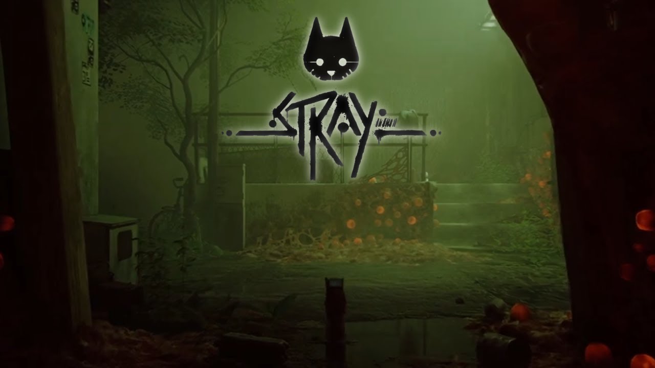 Stray Gameplay Part 5 - Finding Doc - YouTube