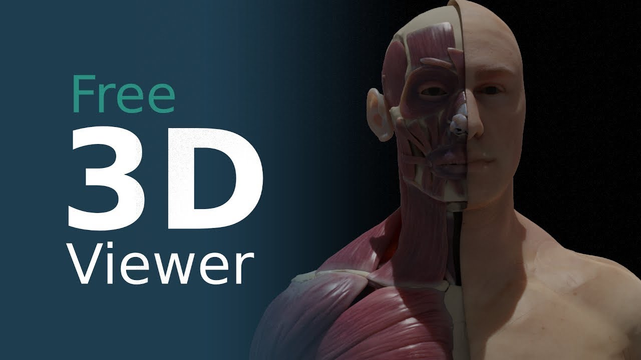 FREE 3D Anatomy Viewer | No Registrations Required - YouTube