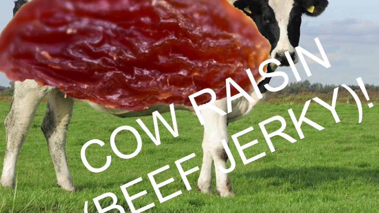 Zgamer111 - Cow Raisin (Beef Jerky) - YouTube