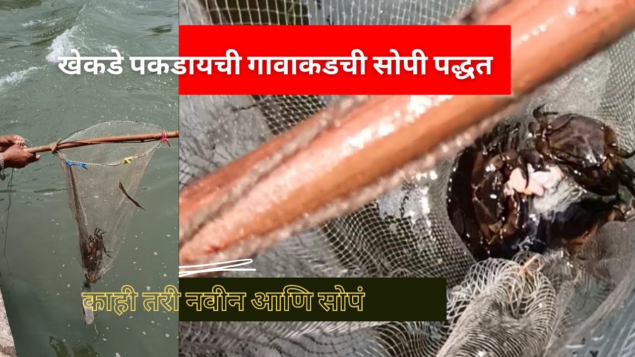 khekde pakdaychi sopi padhat खेकडे पकडायची सोपी पद्धत (catching crab ...