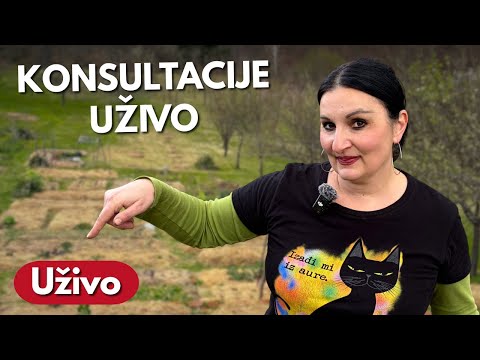 Odgovaram Na Vaša Pitanja - Konsultacije Uživo