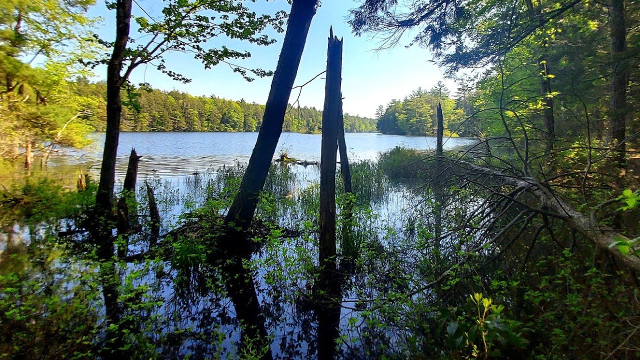 Exploring Connecticut's Bigelow Hollow and Breakneck Pond - Part 2 ...