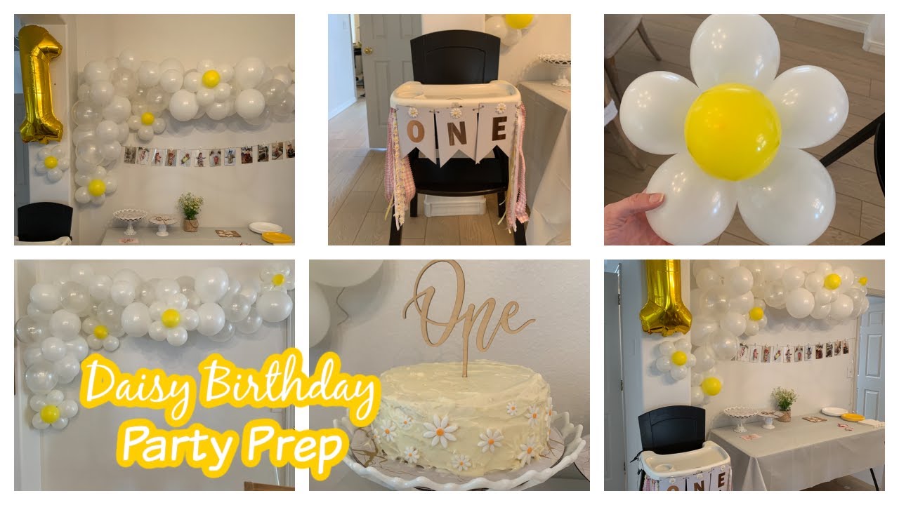 Gerber Daisy Themed Birthday Decoration Daisy Themed Party