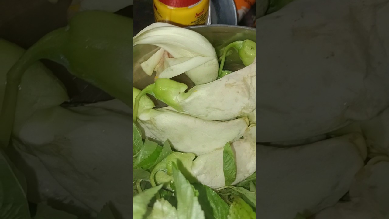 বকফুল #bokful Sesbania Grandiflora #পাট পাতা শাক #jute #leaf # ...