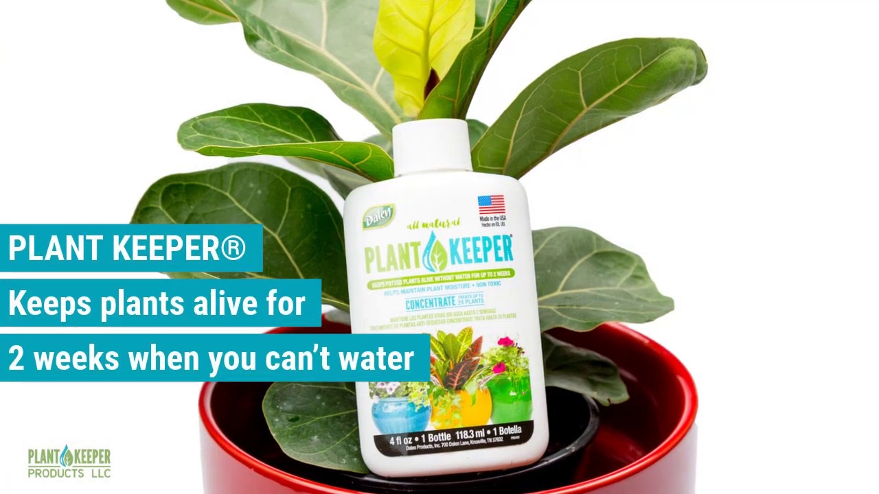 Plant Keeper Short Promo - YouTube