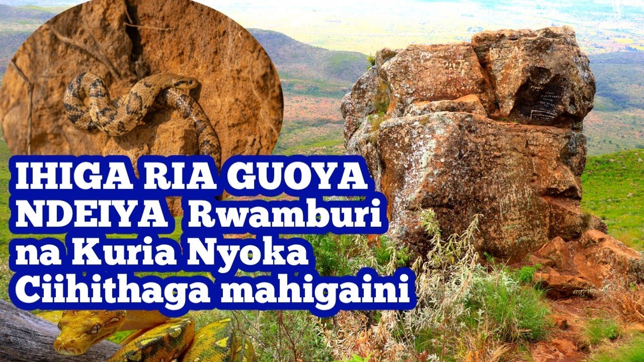 Ihiga ria Guoya Ndeiya Rwamburi na Kuria Nyoka ciihithaga mahigaini ...
