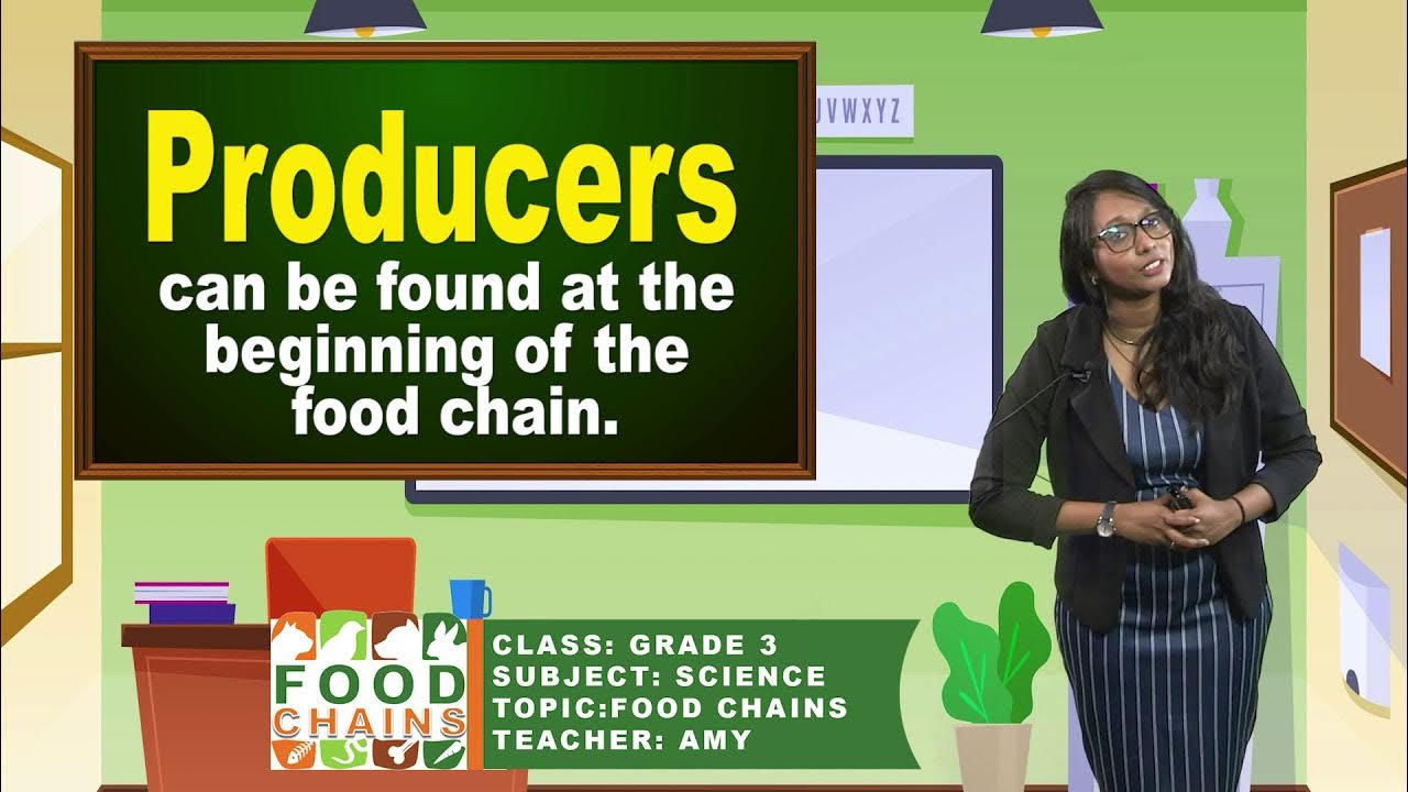 Science - Grade 3: Food Chain - YouTube