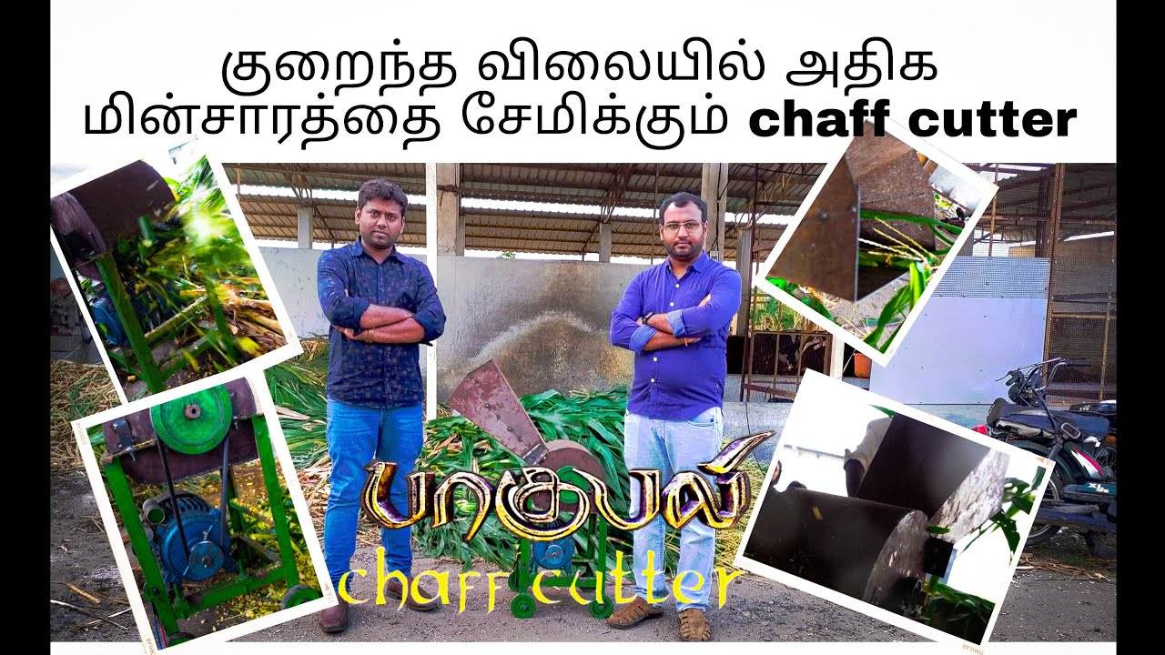BAHUBALI CHAFF CUTTER | Modern Dairy Machines | Low-cost chaff cutter ...