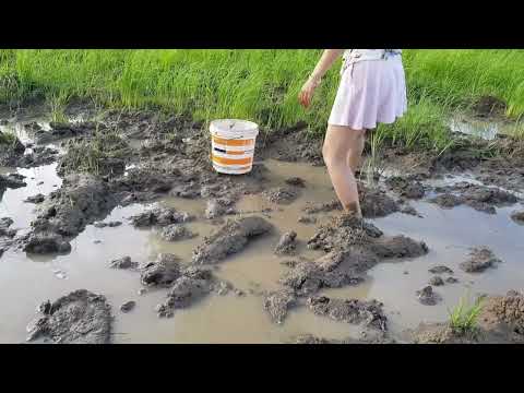 CAMBODIAN GIRL FISHING