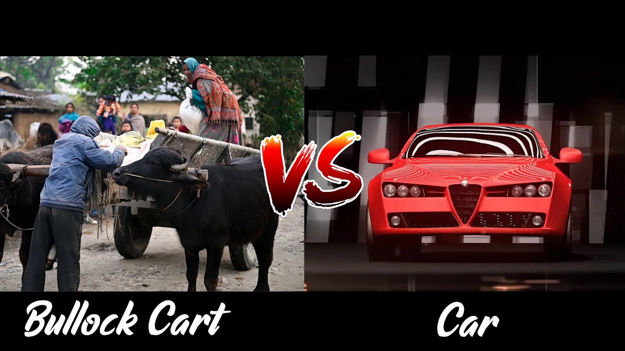 Bullock cart VS Car=Enjoy = - YouTube
