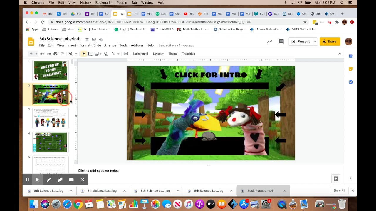 8th Science Labyrinth State Test Review Overview - YouTube