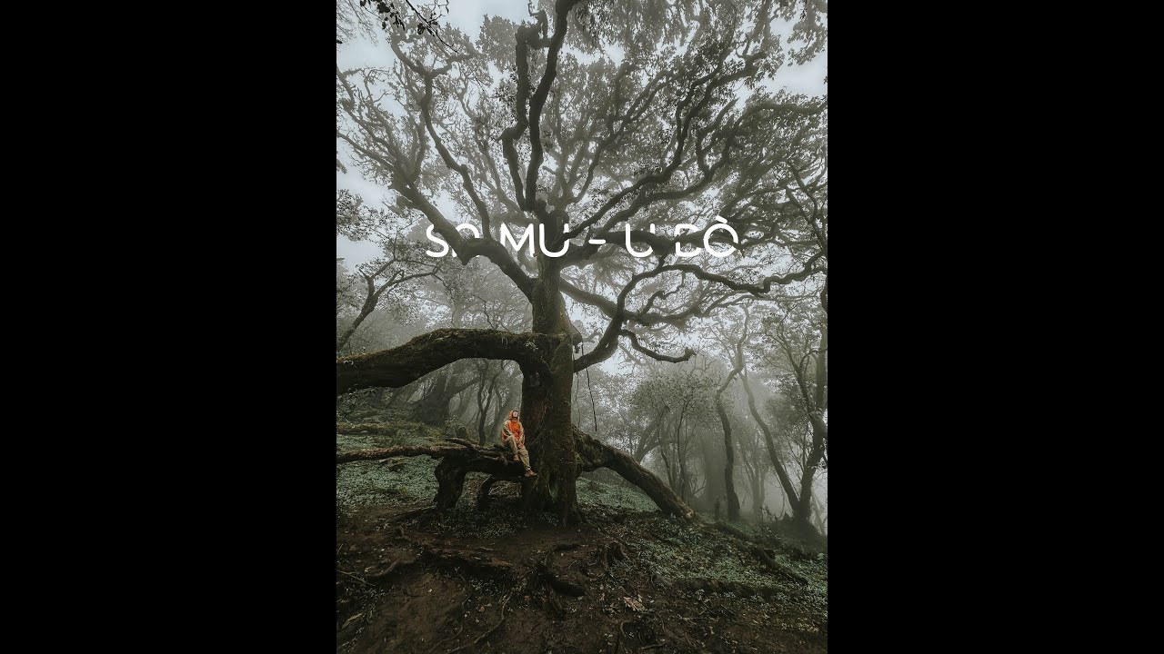 TREKKING SAMU | Khám Phá Khu Rừng Cổ Tích | Tà Xùa | Ngày 1 - YouTube