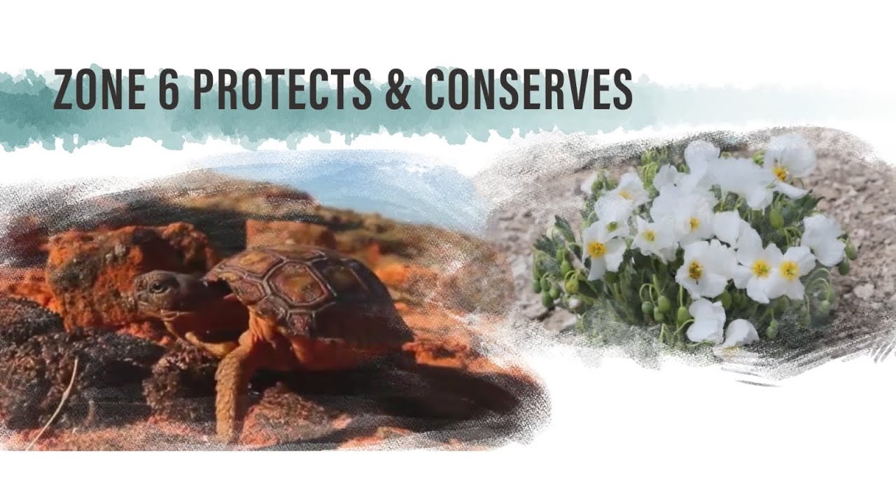 Zone 6 & Northern Corridor Explainer - YouTube