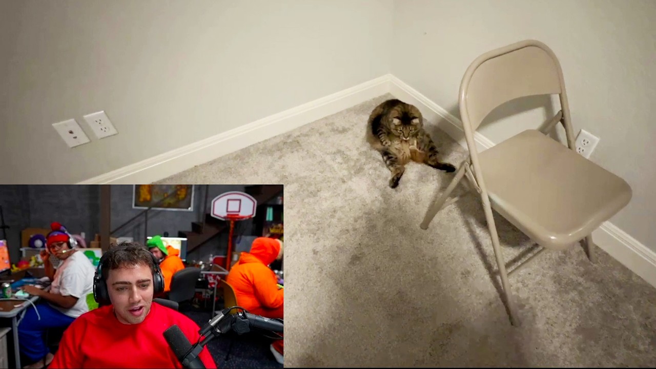 Mizkif's cat found sitting alone in a dark empty room - YouTube