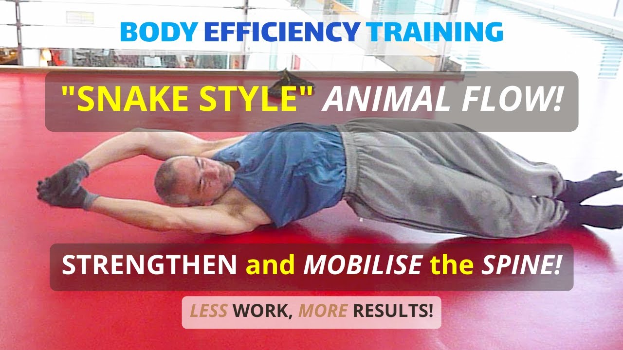 Animal Flow Exercises - YouTube