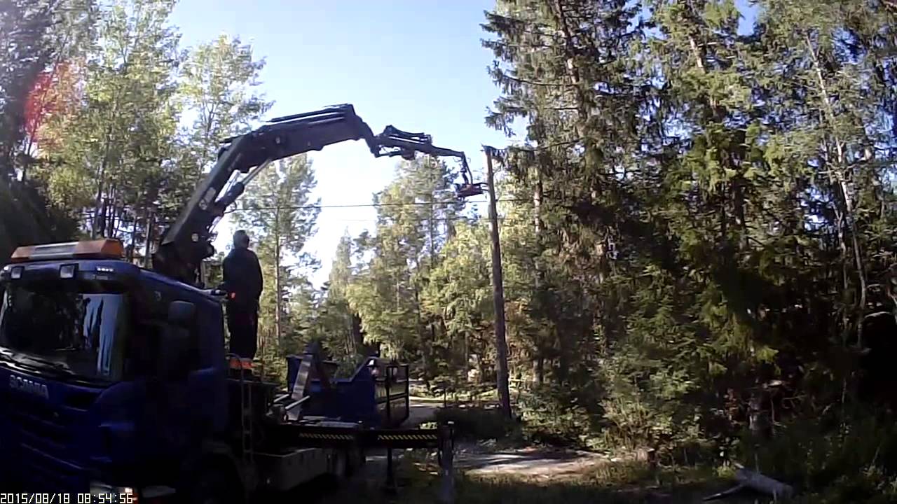 Tree top cutting 18 August 2015 - YouTube