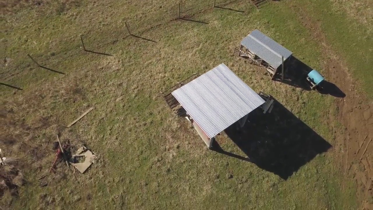 Skyview's Beagles DJI Mavic Pro Drone Filming Breagle Running Rabbit ...