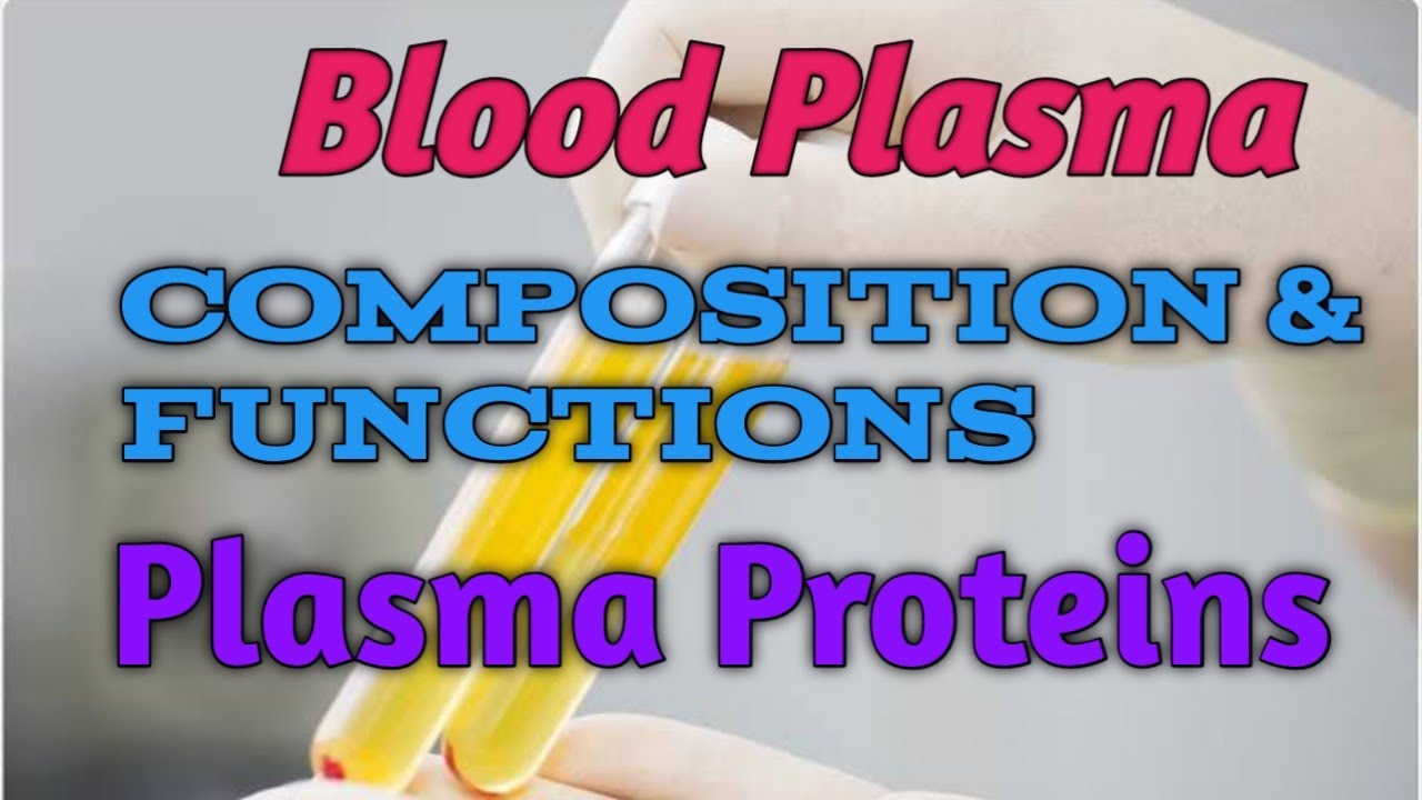 Blood Plasma | Plasma Proteins | Functions of Plasma Proteins | BSc MLT ...