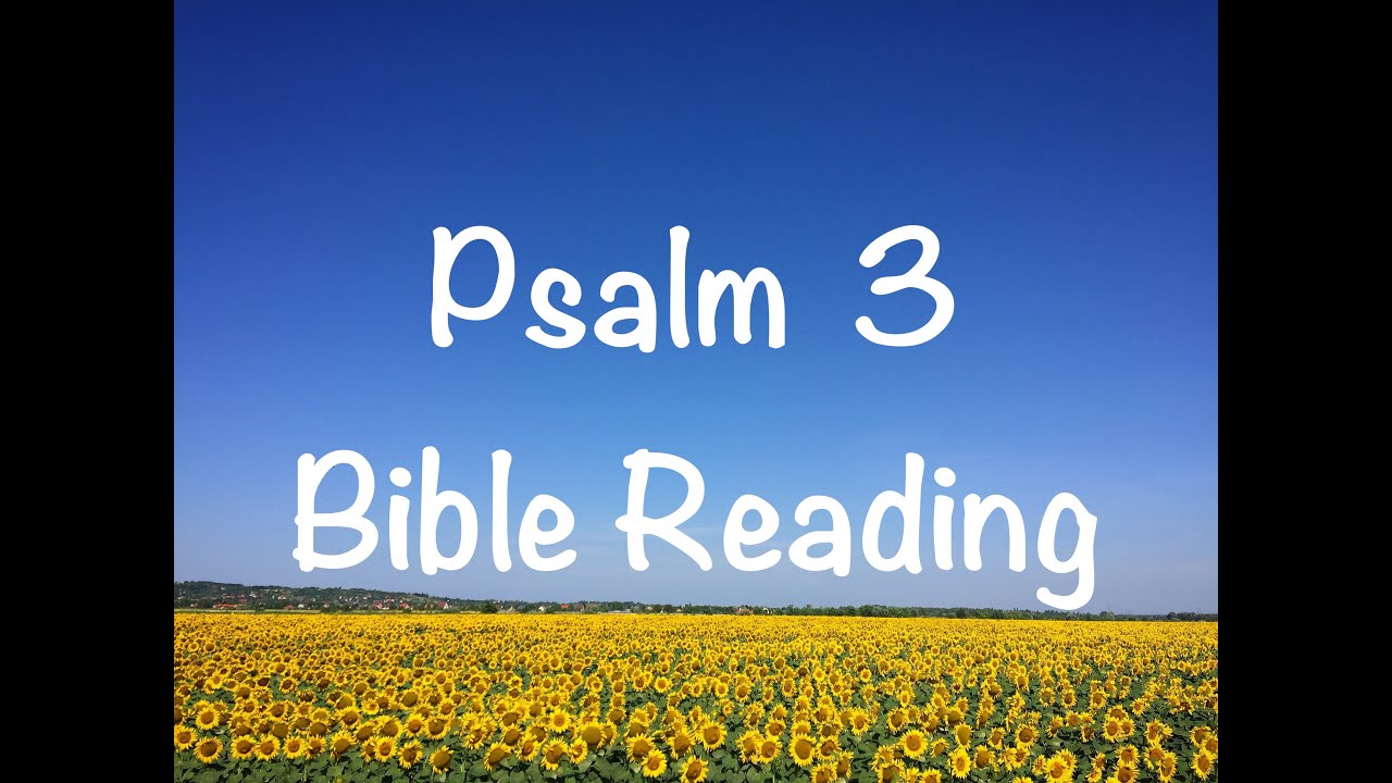 Psalm 3 - NIV Version (Bible Reading with Scripture/Words) - YouTube