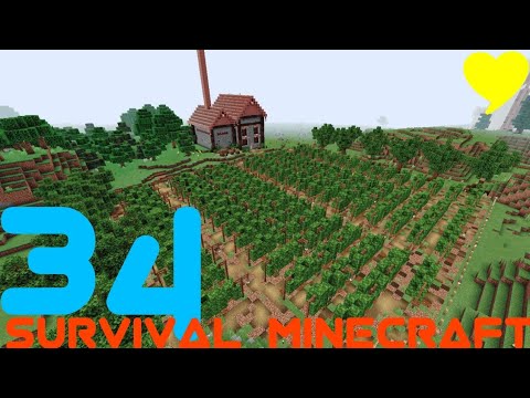 MINECRAFT SURVIVAL #34 Building a Vineyard!/ Let's Play! - YouTube