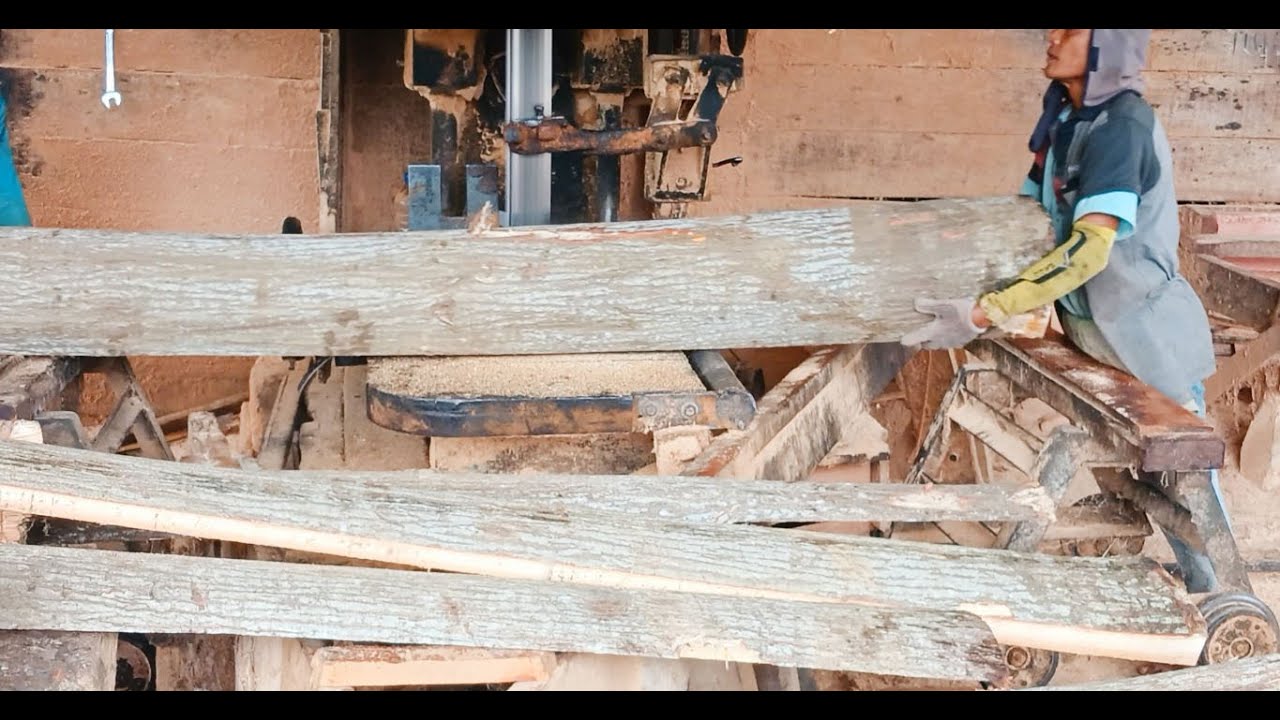 The World Largest Wood factory / How Will You Process This Giant Tree ...