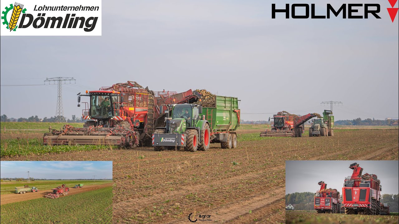 Zuckerrübenernte 2024 XXL | 2x Holmer / 12reiher | LU Dömling | HD - 4K ...