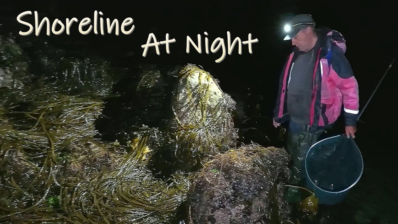 Netting Prawns At Night - YouTube