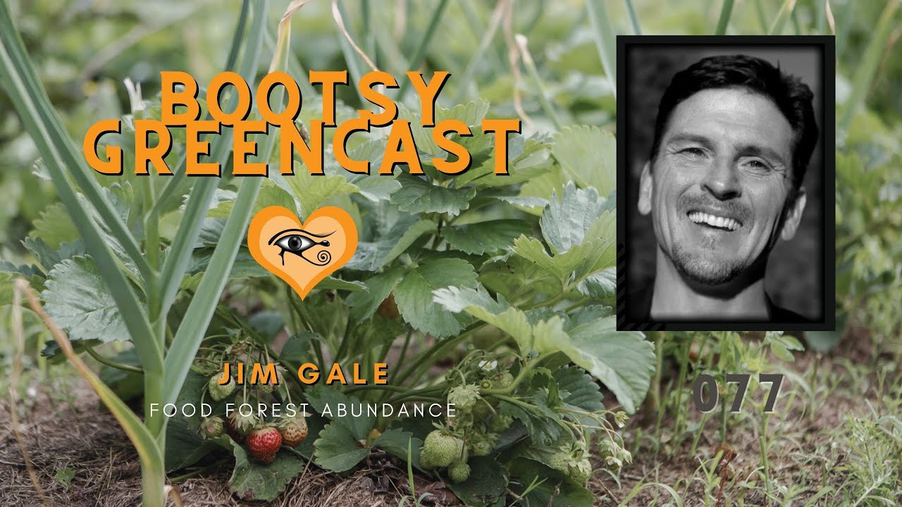 Permaculture with Jim Gale of Food Forest Abundance - YouTube