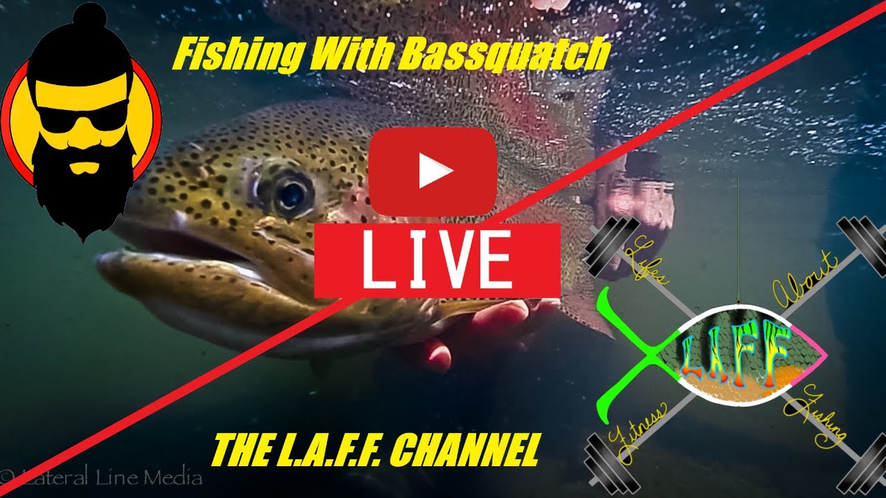 Live Show With Bassquatch, ft. THE L.A.F.F. CHANNEL - YouTube