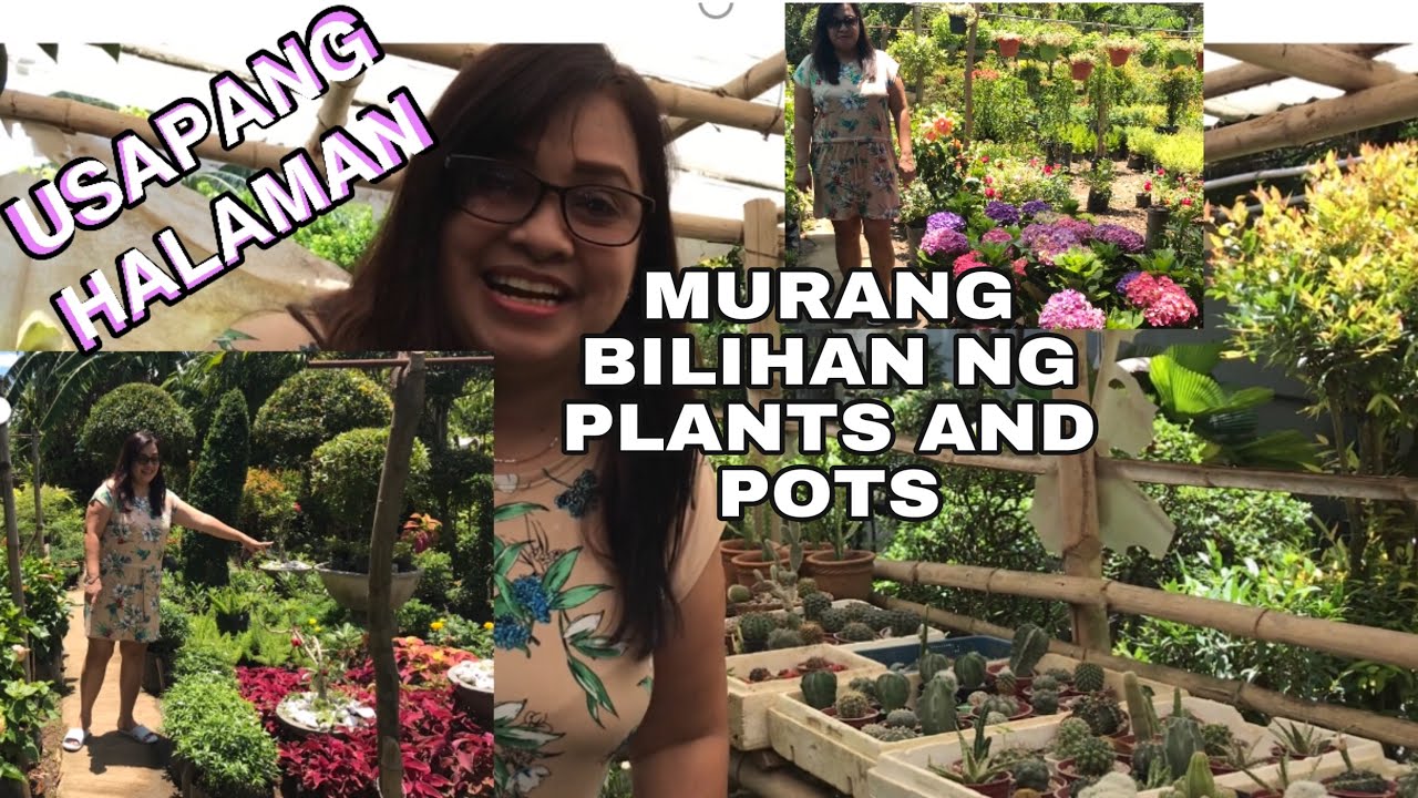 USAPANG HALAMAN; MURANG BILIHAN NG HALAMAN AT PASO - YouTube