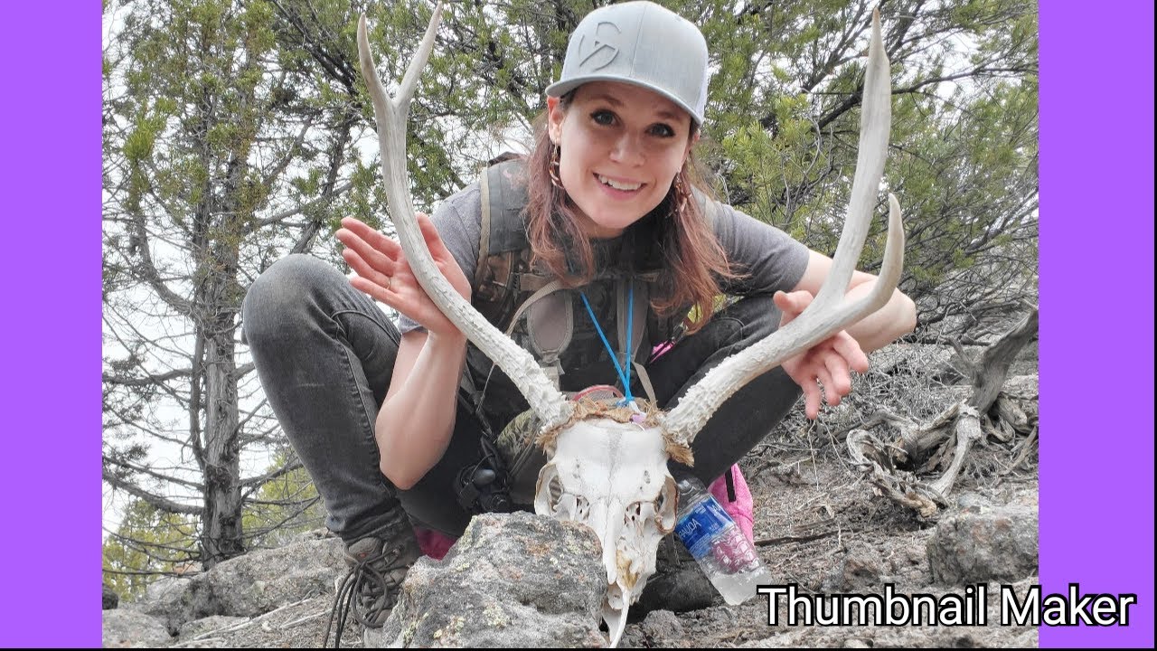 SHED hunt 2019, Elk antler set and deadhead! - YouTube