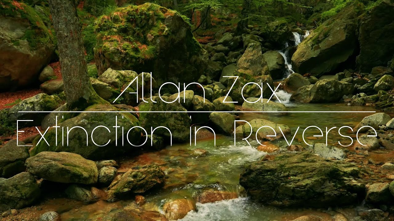 Allan Zax - Extinction in Reverse (Chill-Out | Ambient | Relaxing Music) - YouTube