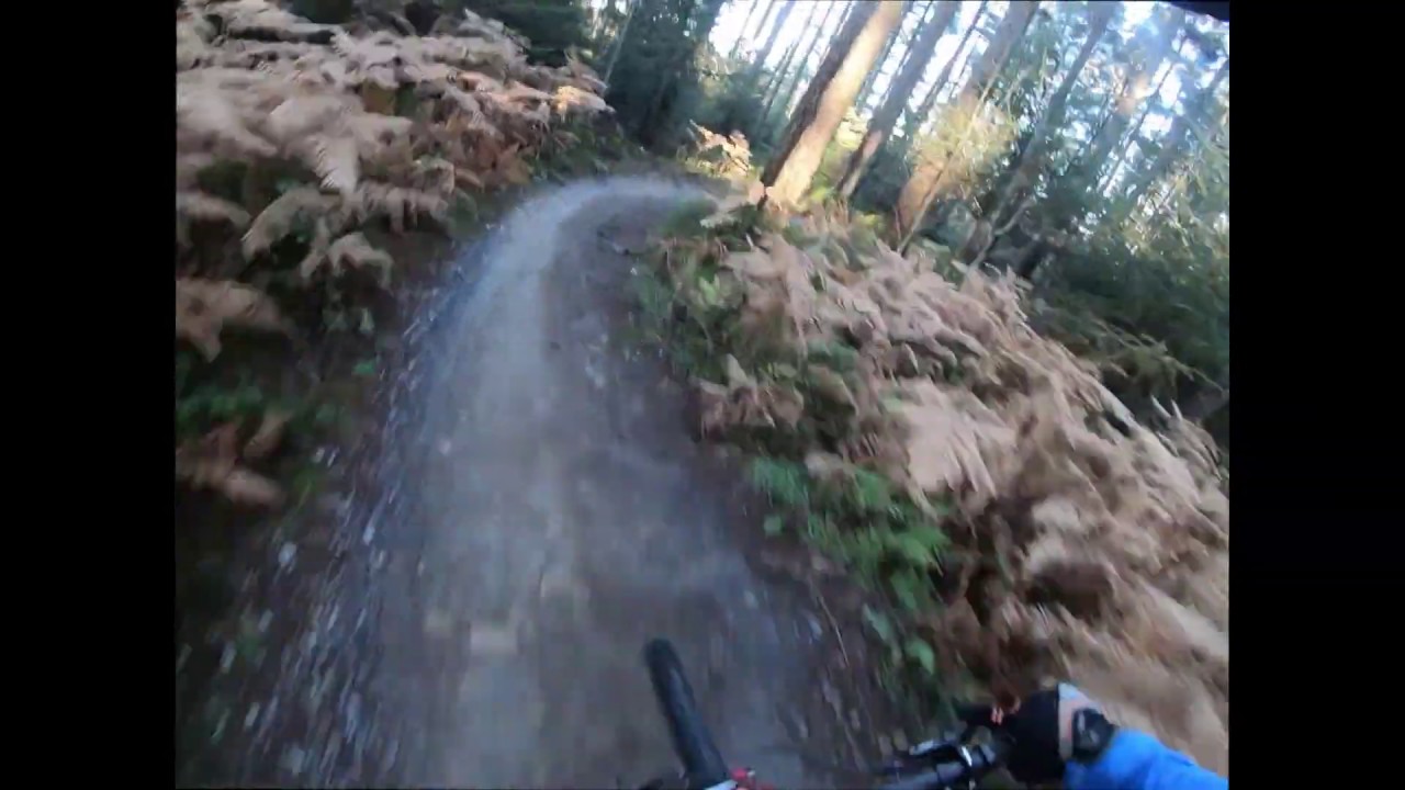 Hamsterley Forest | Transmission | Red Trail - YouTube