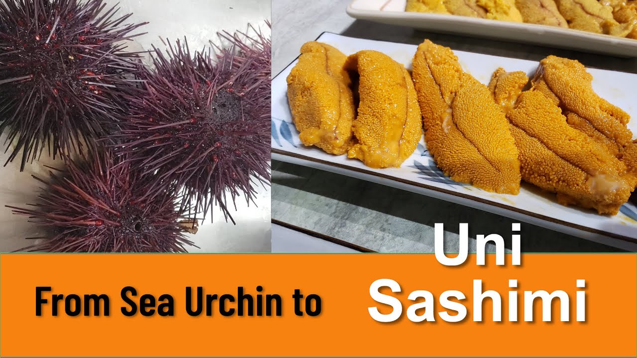 Sea Urchin Sashimi Taste