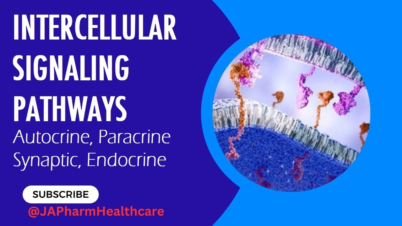 Intercellular Signaling Pathways | Pharmacology | Cell Signaling - YouTube