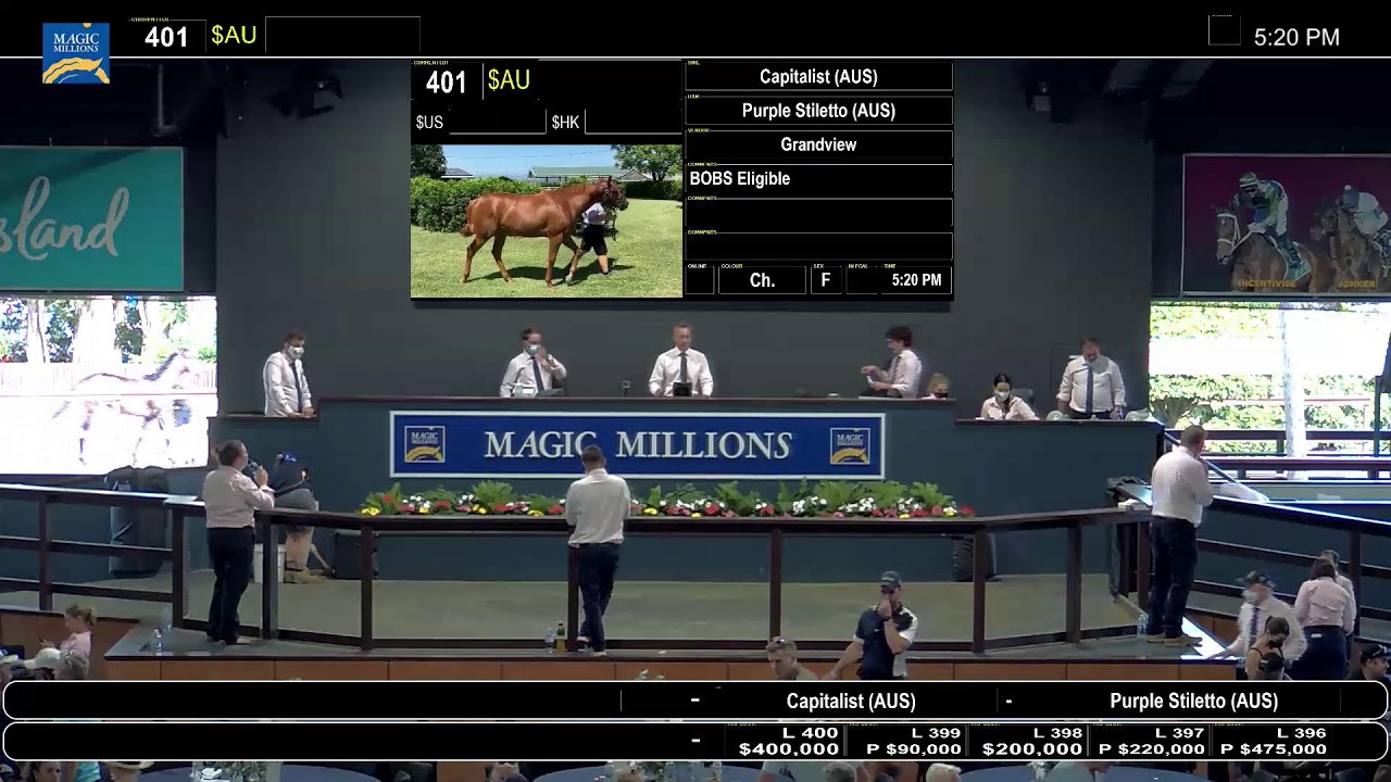 2022 Magic Millions Gold Coast Yearling Sale - Day 2 - YouTube