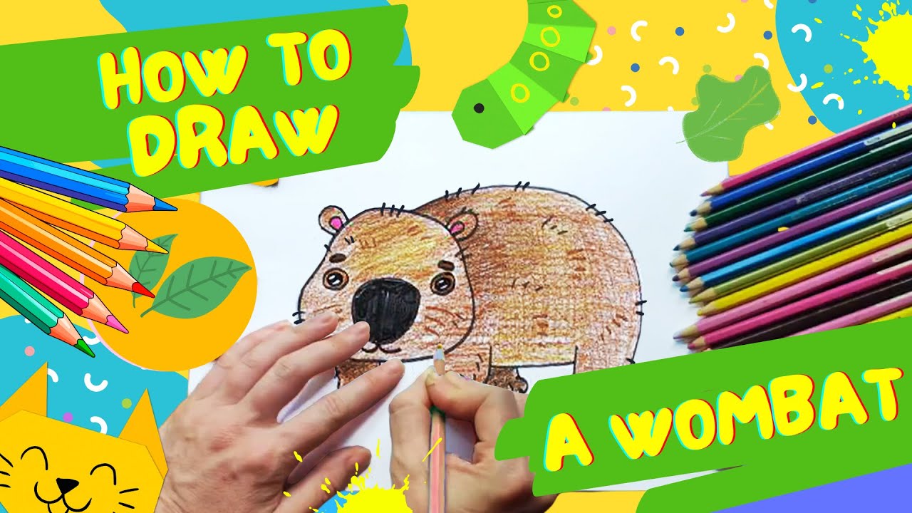 How to draw a wombat || Easy Wombat drawing || Step by step drawing ...