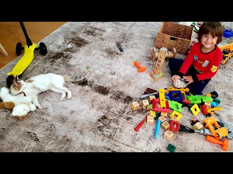 Evimize çok tatlı bir kedi geldi adını Mırnav koyduk Fatih Selim\