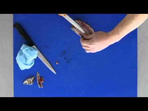 Filleting Sardines - Butterfly Fillet - YouTube