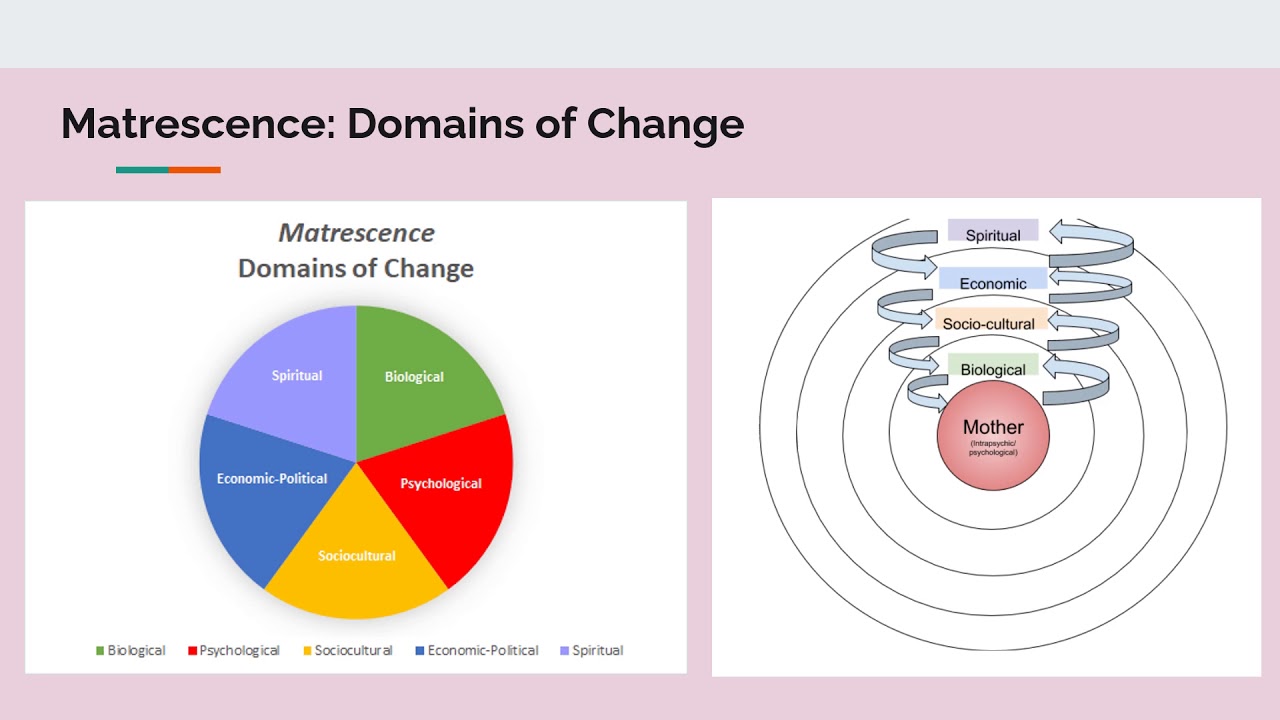 Matrescence: A Biopsychosocial Model for Holistic Maternal Mental ...