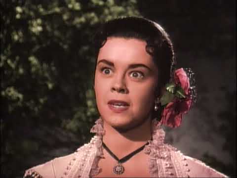 Zorro 1 E 20