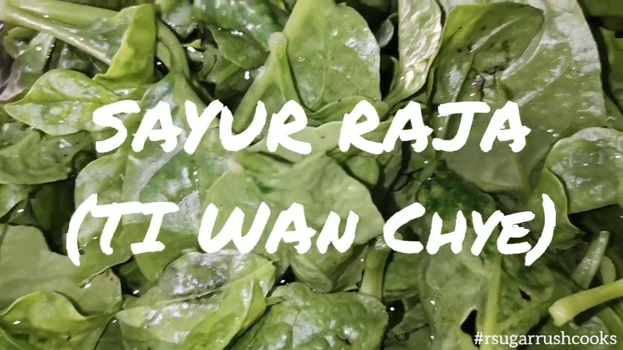 SAYUR RAJA @ TI WAN CHYE // SAYUR PALING SIMPLE & SEDAP - YouTube