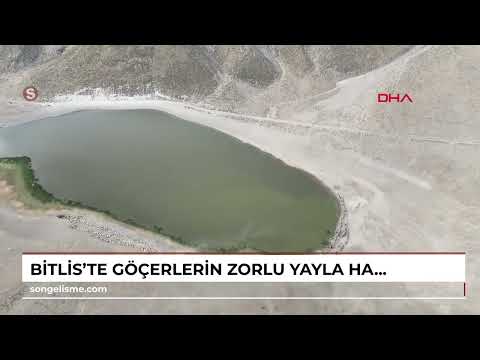 Bitlis'te göçerlerin zorlu yayla hayatı